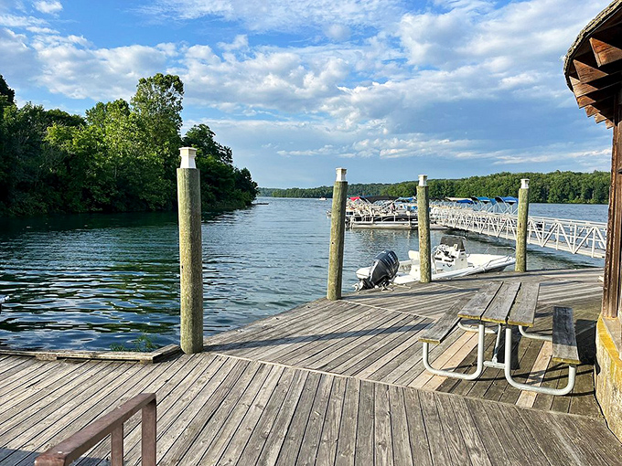 The swimming pool at Codorus&mdash;where kids splash away summer days while parents pretend they're not jealous of all that energy. 