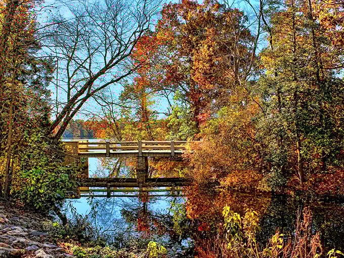 This bridge doesn't just connect two pieces of land&mdash;it connects you to memories waiting to be made. Autumn's paintbrush at its finest.