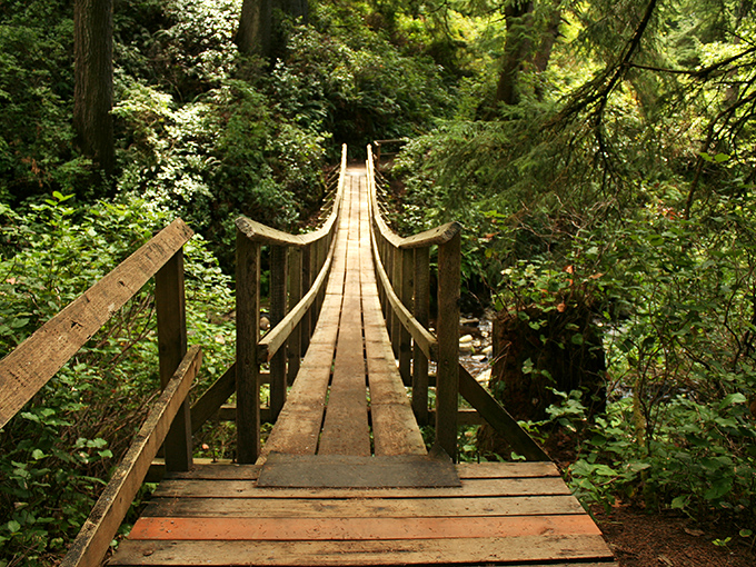Another magical bridge along the trail, where crossing over feels like stepping into a Ghibli film come to life.