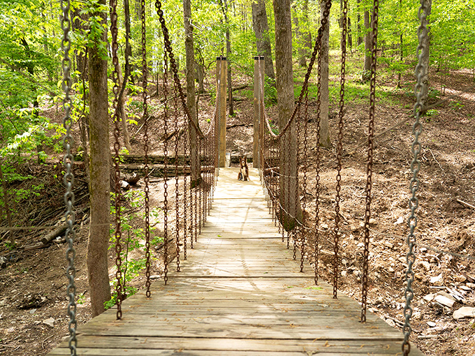 This suspension bridge isn't just a crossing – it's the opening scene to your personal adventure movie.