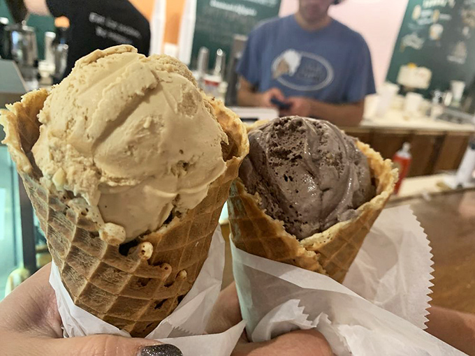 Two scoops in fresh waffle cones: proof that sometimes the best things in life come in pairs, like good friends or comfortable shoes.
