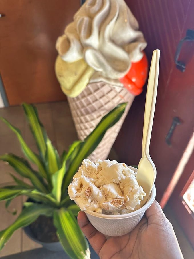 When ice cream looks like it belongs in a food magazine spread but tastes like your fondest childhood memory upgraded for adult taste buds.