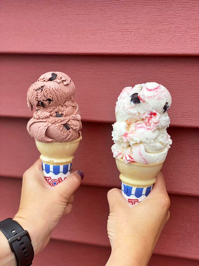 Two scoops of pure indulgence. When chocolate raspberry truffle meets black bear, it's not just dessert&mdash;it's a flavor summit that deserves its own peace treaty.