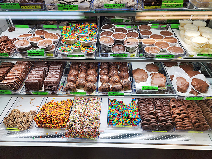 The bakery case – where chocolate treats line up like contestants in a deliciousness pageant, each one vying for your attention.
