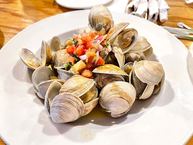 These steamers look like they were plucked from the ocean moments ago. A circle of opened clams revealing their treasures like a seafood s&eacute;ance.