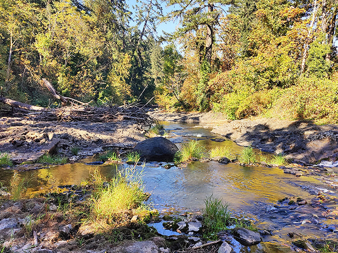 Downtown Silverton's tree-lined streets invite leisurely strolls, where every storefront holds the possibility of becoming your new favorite place. 