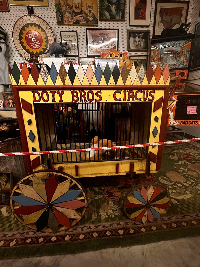 The vintage Doty Bros. Circus cat cage wagon reminds us that long before YouTube, people would actually leave home to see cats perform.