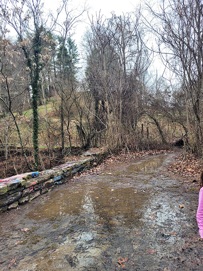The bridge takes on an amber glow at sunset, softening its imposing presence. Golden hour makes even haunted locations look Instagram-worthy.