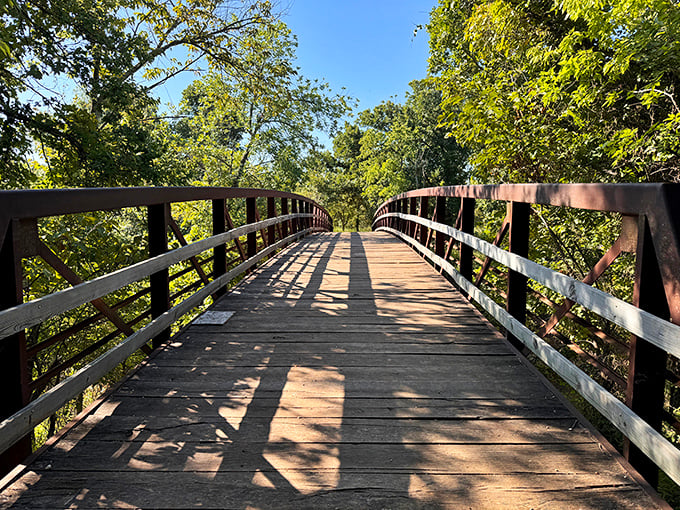 Elevated above the ordinary, this wooden boardwalk offers a squirrel's-eye view of the forest. Every plank leads to a new discovery.