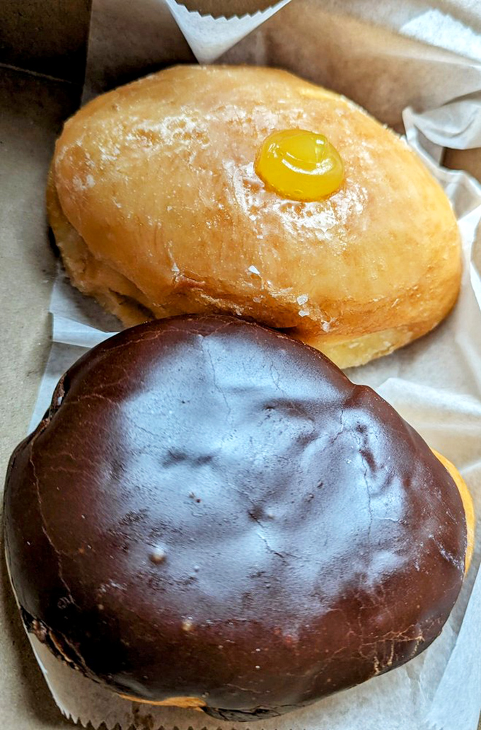 The dynamic duo: a sunshine-bright lemon-filled donut alongside its sophisticated chocolate-robed cousin. Together, they're unstoppable.