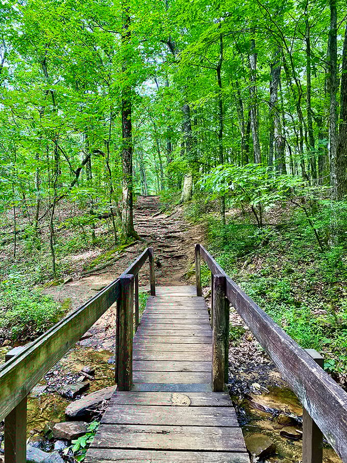 Wooden footbridges connect not just trails but moments in time. Cross slowly&mdash;these planks have stories longer than your weekend getaway.
