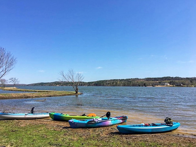 Kayaks waiting patiently for their next adventure, like colorful chariots ready to carry explorers across liquid highways.