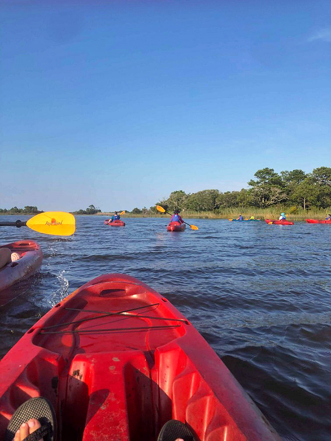 Kayaking Back Bay feels like gliding through a watercolor painting that someone forgot to frame.