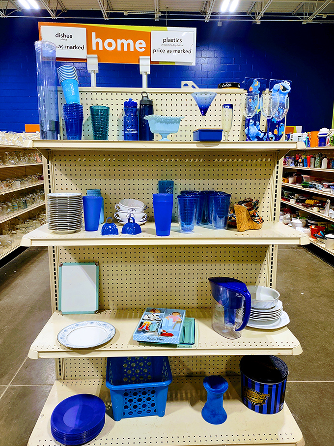 Blue dishware practically jumps off the shelves, a coordinated collection just waiting to become conversation pieces at your next dinner party.
