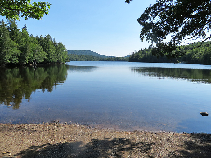 Mirror-like waters reflecting forests that have been standing guard longer than most countries have existed.