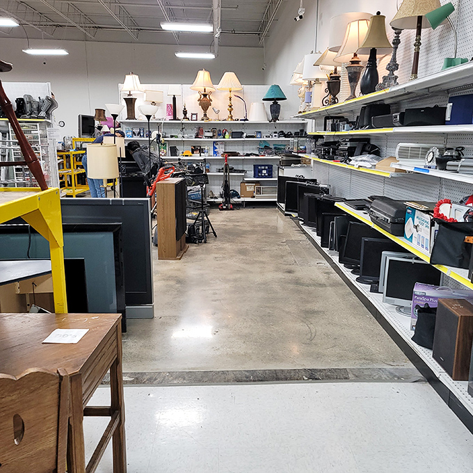 The lamp section glows with potential&mdash;each fixture once illuminated someone else's living room conversations and late-night reading sessions.