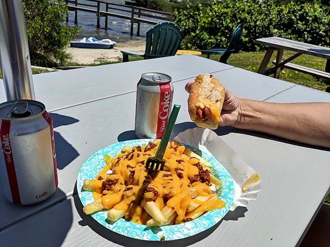 Outdoor dining perfection: Cold Coke, loaded fries with melty cheese, and a hot dog held aloft like the trophy it is.