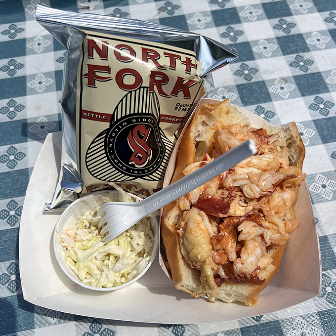 Simple perfection on a checkered tablecloth: buttery lobster, toasted roll, and chips that crunch like the sound of contentment.