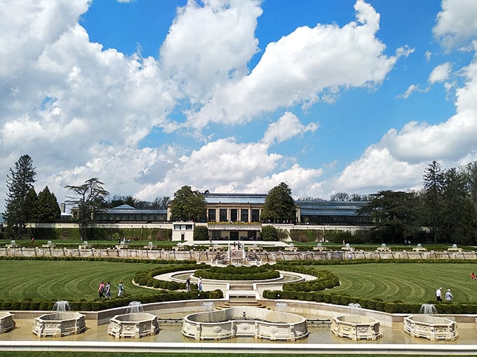 Modern meets magnificent at the Delaware Museum of Nature & Science. Even the local wildlife stops by for a cultural evening. 