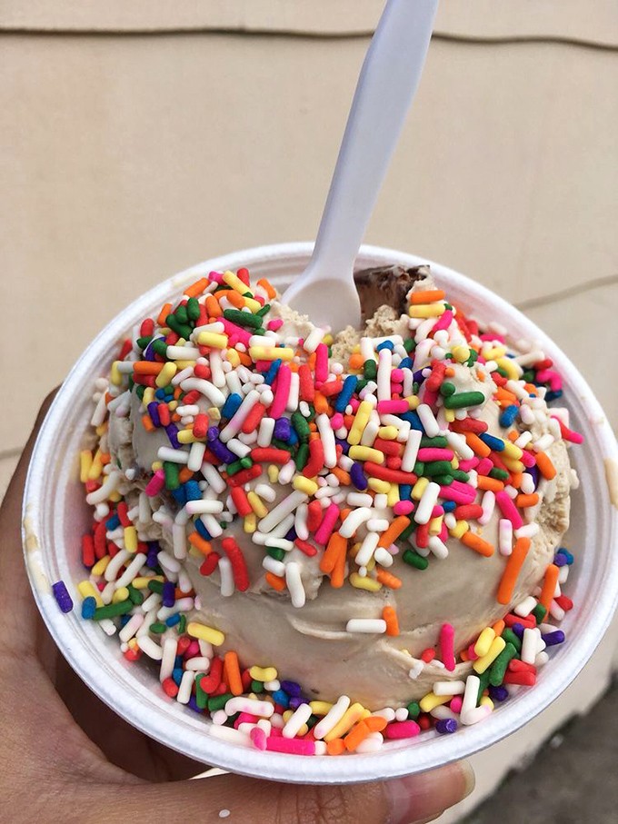 Sprinkles aren't just for kids—they're joy in physical form. This scoop wears its rainbow accessories with pride, like Elton John in his prime.