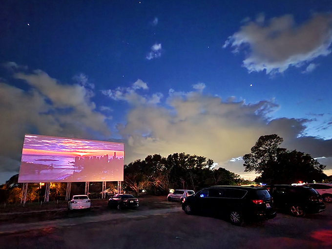 As twilight fades to darkness, the screen comes alive with color and movement. The shared experience of outdoor cinema creates a community of strangers.