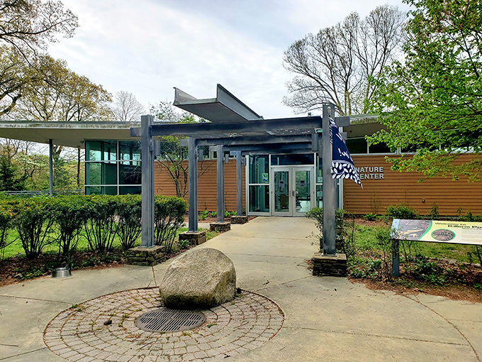 The Nature Center stands as proof that learning about wildlife doesn't require uncomfortable classroom chairs or pop quizzes.