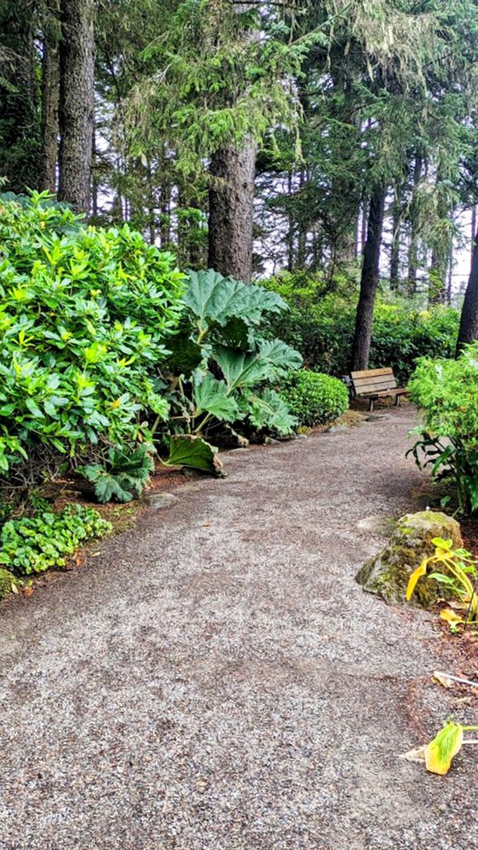 This secluded bench isn't just a seat&mdash;it's front-row tickets to nature's greatest show, with no subscription required. 