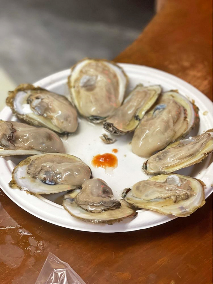 These freshly shucked oysters glisten like jewels from the bay, waiting to deliver that perfect briny kiss of the ocean.