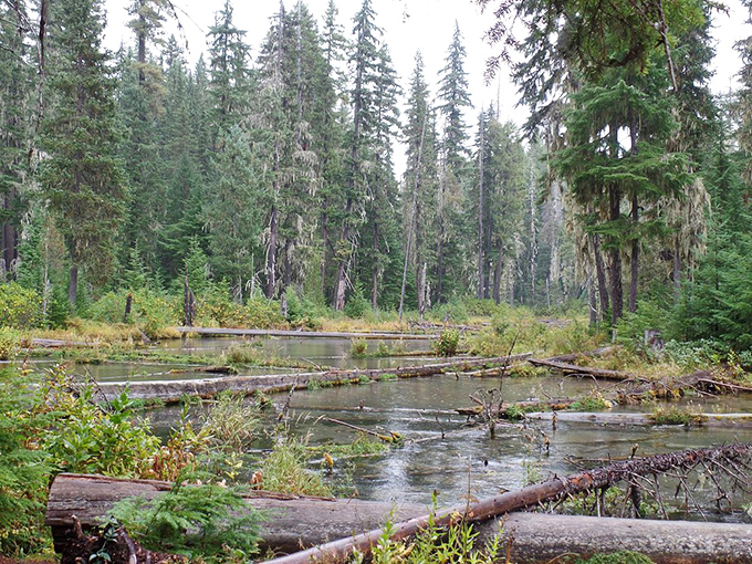 Nature's version of a screensaver, except you can't click away from this one&mdash;nor would you want to.