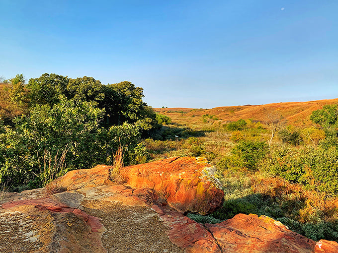 Prairie gold rush: Sunset illuminates the sandstone with a warm glow that transforms ordinary rocks into treasure-worthy geological gems.