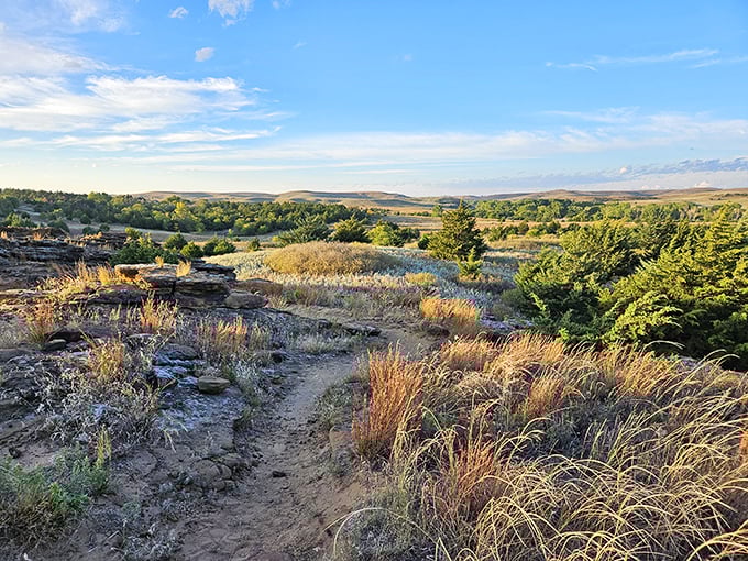 Golden hour transforms the prairie into a painter's dream. Van Gogh would've set up his easel right here and never left.