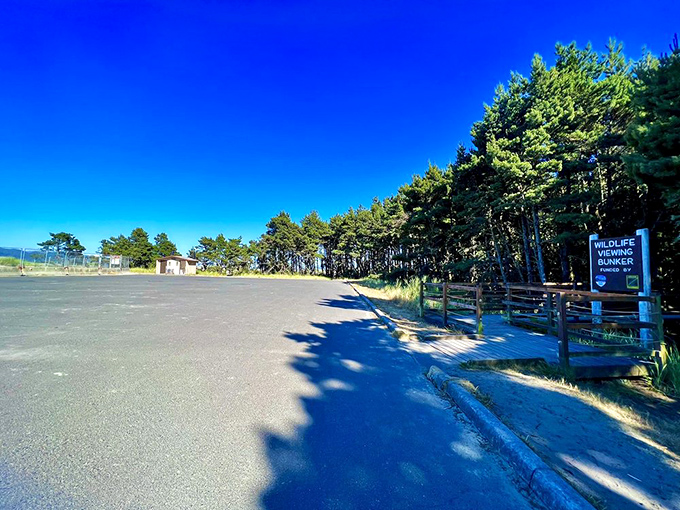 Adventure headquarters. This unassuming parking area is the launchpad for memories that will outlast your vehicle's warranty.