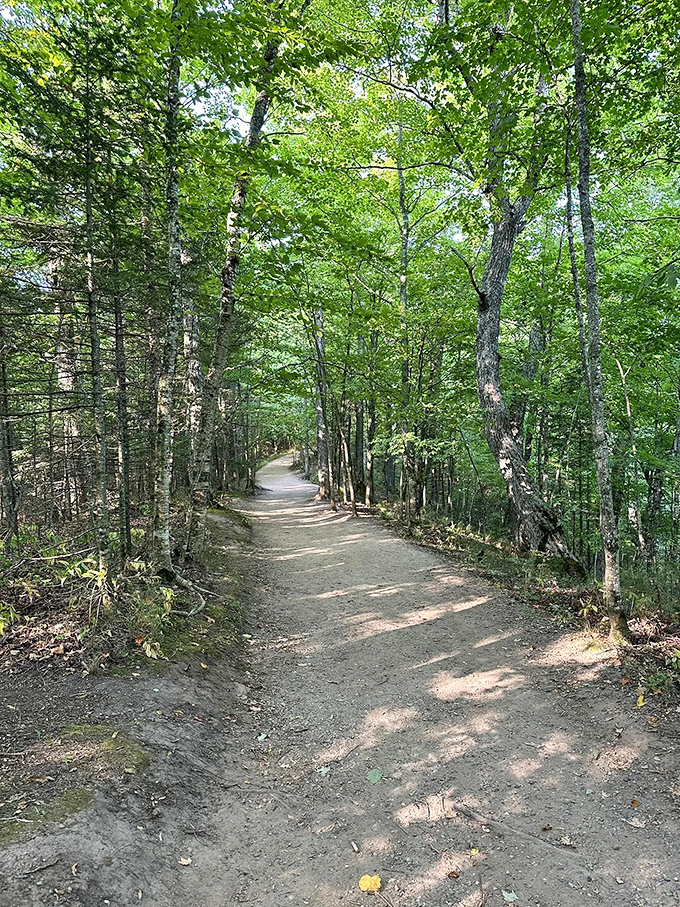 The path beckons like a scene from a storybook. Half expecting woodland creatures to start giving directions.