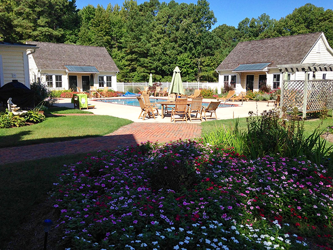 Garden geometry meets pool perfection. The kind of outdoor space that makes you wonder why you ever thought city living was a good idea.