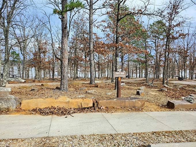 Fall's golden carpet transforms this campground into a seasonal masterpiece&mdash;Mother Nature showing off her interior design skills.