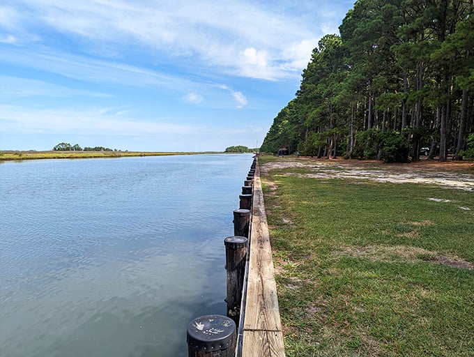 The bulkhead walkway isn't just a barrier between land and water—it's front-row seating to nature's daily performance.