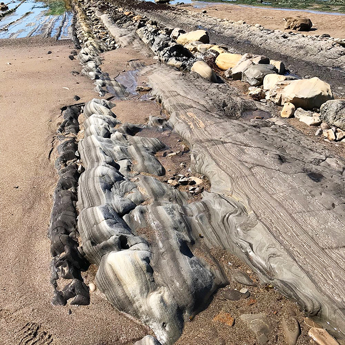 Morning fog transforms ordinary rocks into mysterious sculptures. The beach becomes a gallery where nature's art changes with each tide.