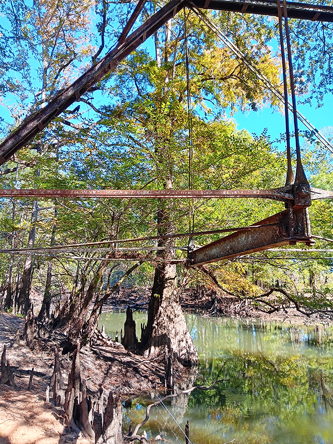 Iron lattice work frames the forest beyond like a living postcard. Engineers built it for function, but accidentally created the perfect ghost story setting.