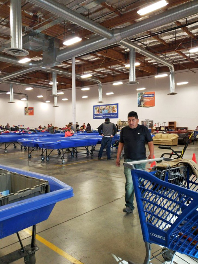 The famous "bins" experience: part archaeological dig, part bargain bonanza, where treasures are sold by the pound and discoveries happen by the minute. 