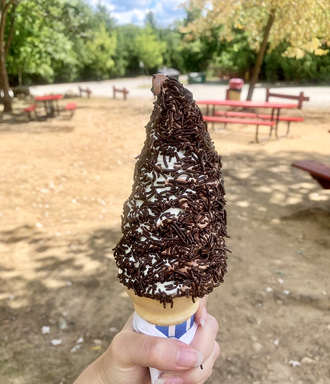 A chocolate-dipped waffle cone topped with soft serve so perfectly swirled it looks like it should be in an ice cream textbook&mdash;if such a magnificent thing existed.