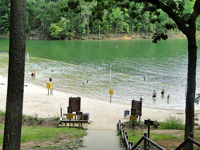 The swimming beach: where kids experience the joy of splashing while parents experience the joy of tired kids at bedtime.