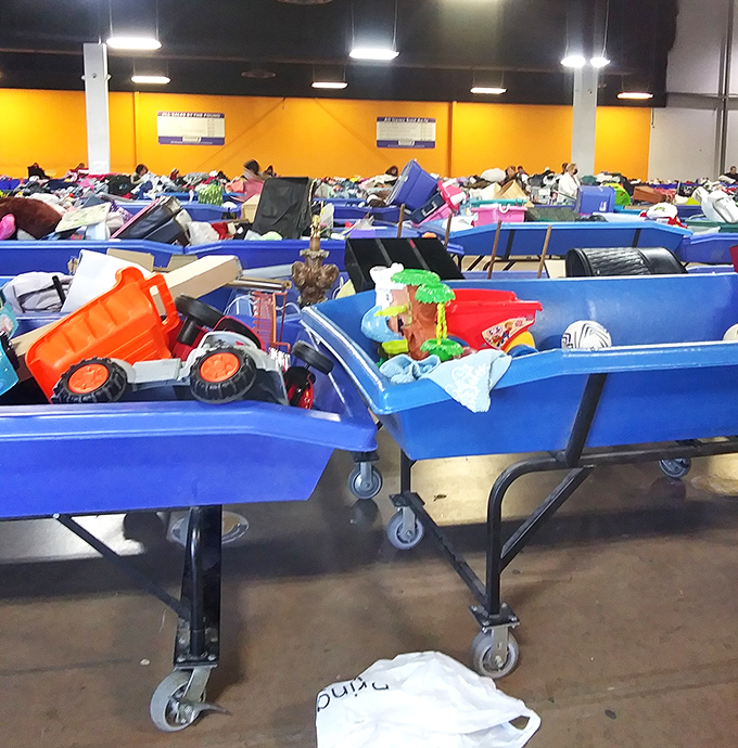 Yesterday's playthings await tomorrow's adventures. That orange truck has probably survived more imaginary construction sites than most real contractors.