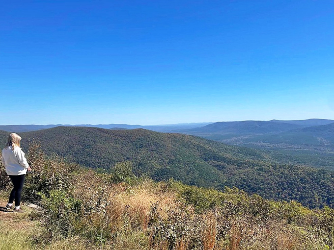 That moment when you realize the journey is the destination. The open road through Ouachita National Forest offers therapeutic solitude.