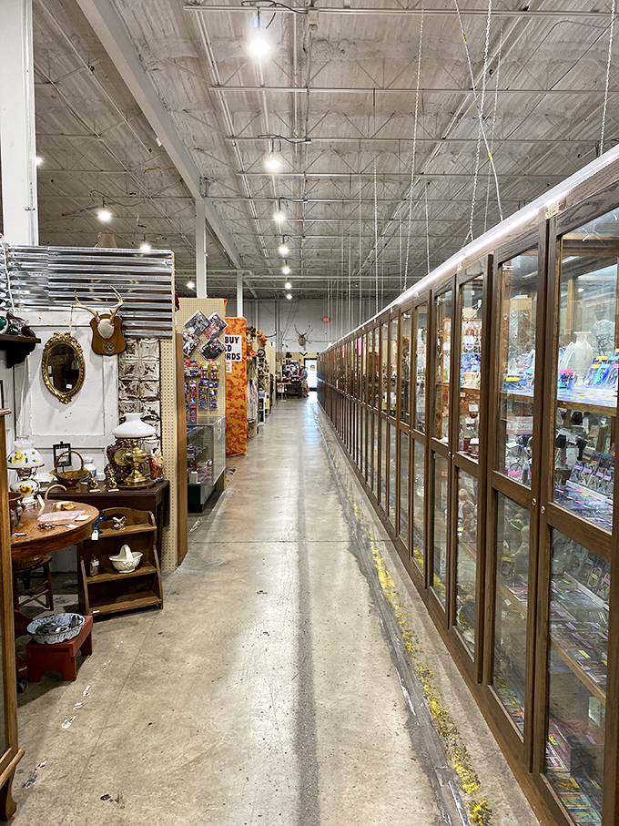 Glass-encased collectibles line this corridor of curiosities &ndash; proving that some treasures deserve protection while they wait for their perfect match.