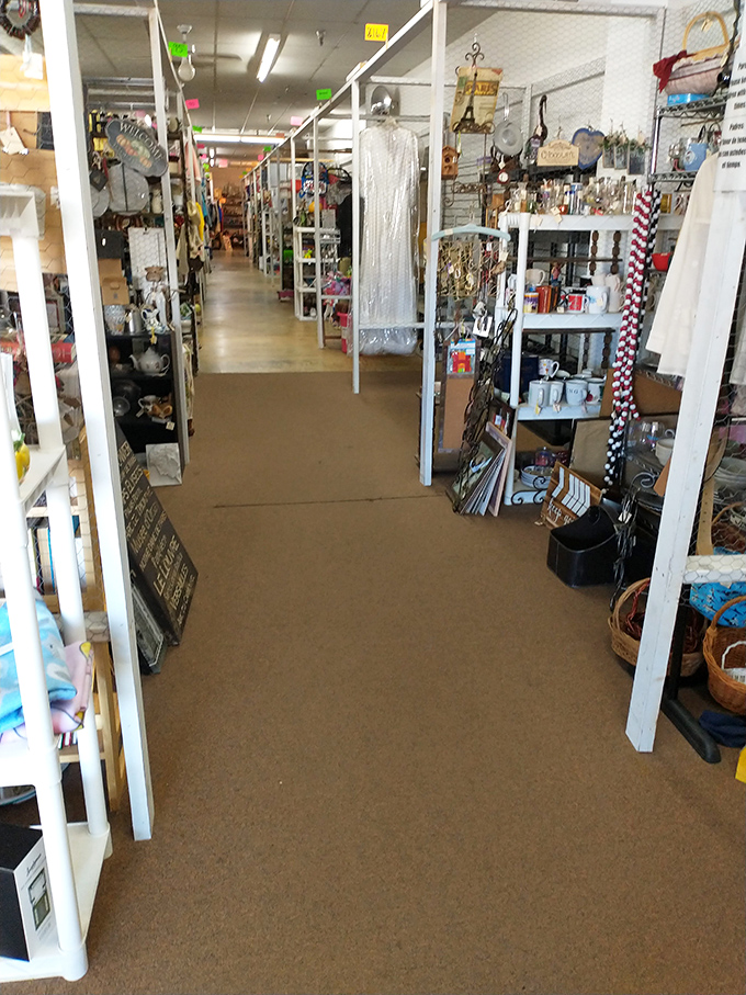 The narrow pathways between booths feel like secret passages. Each turn reveals another vendor's carefully curated collection.