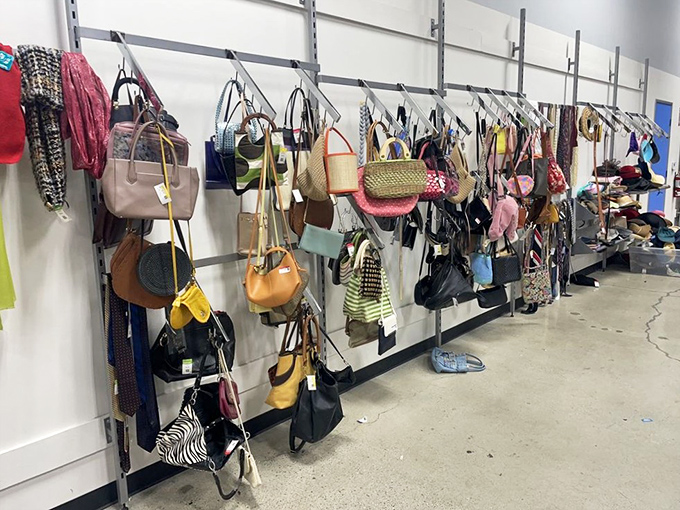 Handbag heaven where designer dreams meet budget realities. That leather tote might have walked red carpets before finding you.