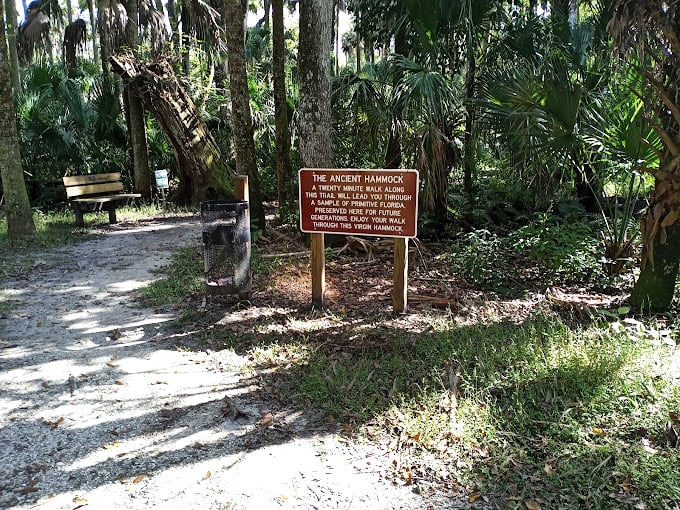 The Ancient Hammock Trail sign stands sentinel at the entrance to a forest where trees remember when knights wore actual armor.