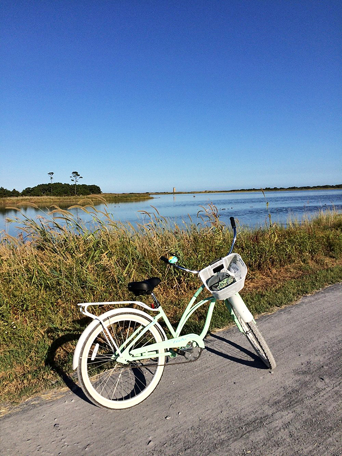 A beach cruiser takes a well-deserved break with a view. Some bikes have all the luck.