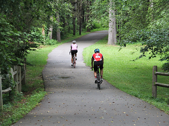 Cycling through tree-lined paths in Black Mountain offers the perfect balance of exercise and scenery&mdash;like a spin class designed by Mother Nature herself.
