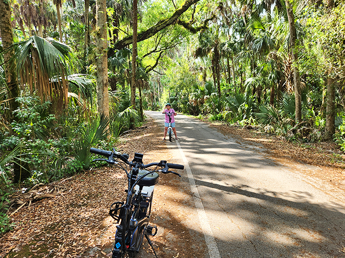 Cycling through natural Florida feels like time travel to before the state became one giant souvenir shop. The palms create nature's perfect canopy.